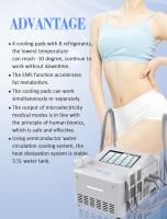 China Cellulite Removal Cryo Slimming Machine , Weight Loss Ems Machine With 4pcs Cryo Pads for sale