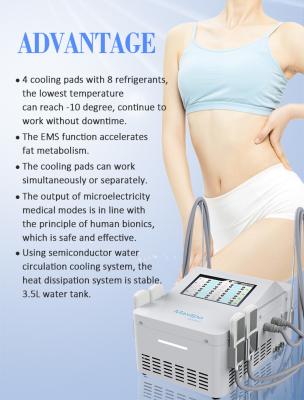 China Cellulite Removal Cryo Slimming Machine , Weight Loss Ems Machine With 4pcs Cryo Pads for sale