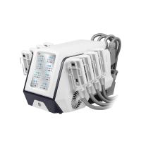 China Ice Sculpting Cryolipolysis Fat Freezing Machine With 8 Pcs Cryo Pads for sale