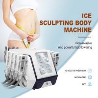 China Ice Sculpting Cryolipolysis Fat Freezing Machine With 8 Pcs Cryo Pads for sale