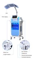 China 300W Beauty Skin Care Machine For Deeply Cleanse Improve Skin Elasticity ODM for sale