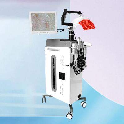 China Comprehensive PDT Beauty Machine , 10 In 1 Skin Care Machine For Facial Lifting for sale