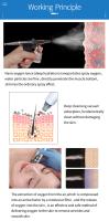 China Vacuum Hydro Dermabrasion Facial Machine , 10 In 1 Skin Care Machine Multifunctional for sale