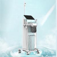 China 800W Oxygen Therapy Facial Machine , Photon Light Therapy Machine Multipurpose for sale