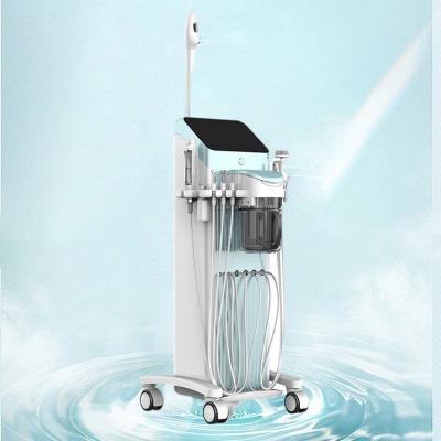 China 800W Oxygen Therapy Facial Machine , Photon Light Therapy Machine Multipurpose for sale