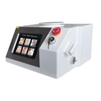 China Intelligent 980 Diode Laser For Lipolysis Slimming Skin Rejuvenation for sale