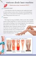 China Multipurpose 980 Nm Diode Laser , Vascular Removal Machine For Lipolysis Slimming for sale