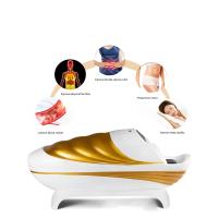 China Multifunctional Steam Sauna Capsule , Hydrotherapy Capsule For Slimming for sale