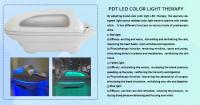 China Full Body Hydrotherapy Spa Capsule , Water Massage Capsule With Dry Wet Steam for sale