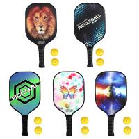 China Carbon Fiber Pickleball Paddle Set 400x200mm Honeycomb Core with 2 Balls for sale