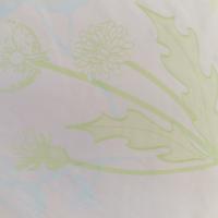China Breathable PE Backsheet film for Customizable Colorful Printing Diaper Raw Material for sale