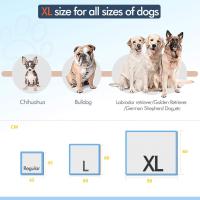China Charcoal Absorbent Pet Pee Pads for Dogs Cats Animals Disposable Training Potty Pads for sale