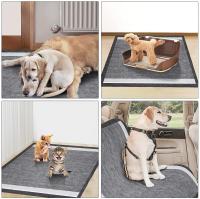 China Charcoal Absorbent Pet Pee Pads for Dogs Cats Animals Disposable Training Potty Pads for sale