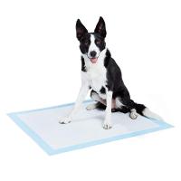 China Customized Cotton Disposable Underpad for Pet House Training Wee Wee Pad in Color for sale