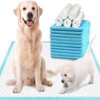 China 3D Leak Prevention Channel Disposable Underpads Pet Training Pads for Dogs and Puppies for sale