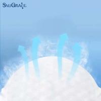 China Exclusive for Purchasing SnuGrace Adult pull-up pants Disposable and Soft Breathable for sale