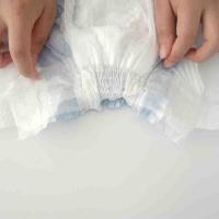 China Pet Care Disposable Female Dog Diapers Absorbent And Leak Proof Fit for sale