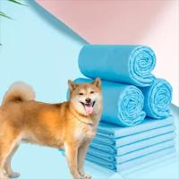 China Customized 6Ply Pet Health Care Mat Disposable Training Pet Pad 60x60 for Easy Training for sale