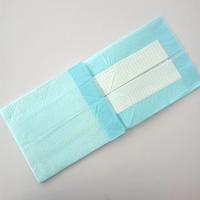 China Waterproof Blue Charcoal Pee Pads for Dogs Wee Wee Absorbent Odor Neutralizer Dog Pads for sale