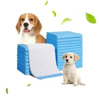 China Blue Disposable Chucks Pee Pads for Puppy Dog Potty Training 20g-120g Professional for sale