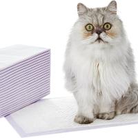 China Incontinence Pads Bed Covers and Puppy Training Pads with Freely Offered Samples for sale