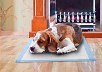 China Incontinence Pads Bed Covers and Puppy Training Pads with Freely Offered Samples for sale