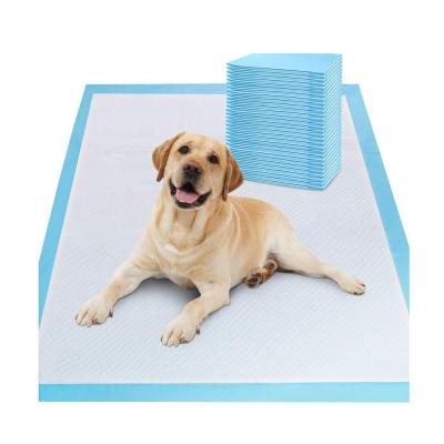 China Freely Offered Samples OEM/ODM Pet Toilet Pee Pads for Puppy Training and Sleeping for sale