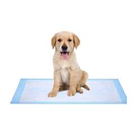China Freely Offered Samples OEM/ODM Pet Toilet Pee Pads for Puppy Training and Sleeping for sale
