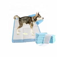 China Freely Offered Samples OEM/ODM Pet Toilet Pee Pads for Puppy Training and Sleeping for sale