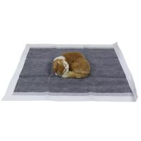 China Freely Offered Samples OEM/ODM Pet Toilet Pee Pads for Puppy Training and Sleeping for sale