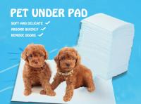 China S.M.L.XL.XXL Pet Sanitary Pads for OEM/ODM Customized Color Disposable Pet Pee Pads for sale