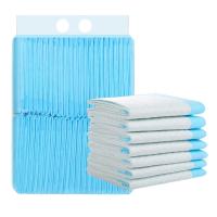 China Eco Friendly Bio Degradable Pet Training Pad for Dogs Cats Animals in XS-XXXL Sizes for sale