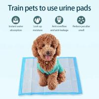 China Fluff pulp SAP Non woven fabric Tissue PE Waterproof Pet Mat Diaper for Puppy Training for sale
