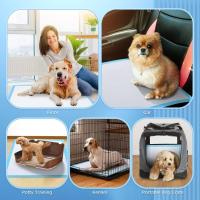 China Fluff pulp SAP Non woven fabric Tissue PE Waterproof Pet Mat Diaper for Puppy Training for sale
