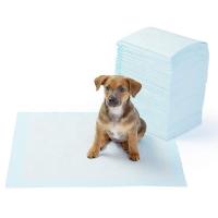 China Customized Color Disposable Pet Toilet Pad for Dog Sanitary Pads Freely Samples Offered for sale