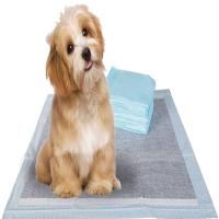 China Disposable Friendly Pet Training and Puppy Underpad High Water Absorbability Dog Pee Pad for sale