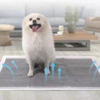 China Disposable Friendly Pet Training and Puppy Underpad High Water Absorbability Dog Pee Pad for sale