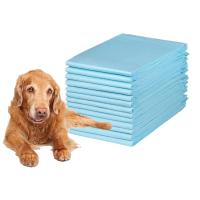 China Customized Sizes Free Sample Disposable Pet Training Pads for Puppy Potty Training for sale