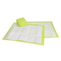 China Disposable Adult Bed Pad in Blue/Green/White/Pink for Medical Facilities at Affordable for sale