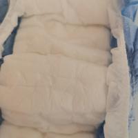 China Disposable Dog Diapers for Maximum Absorbency and Leak Protection Size S M L XL XXL for sale
