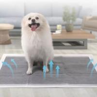 China Non-woven Fabric Bamboo Fiber Carbon Charcoal Pet Underpad Training Pad 60*90 for Puppy for sale