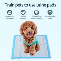 China Adhesive Pet Dog Paw Protector Stick Pad for Sustainable Pet Toilet Potty Training for sale