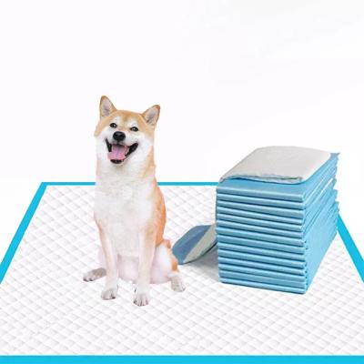 China Blue 5-Layer Disposable Pet Training Pad for Small/Medium/Large Dogs Super Absorbent for sale