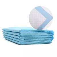 China Pet Potty Training Pads For Dogs Disposable Pet Urinal Pad with Dry Surface Absorbency for sale