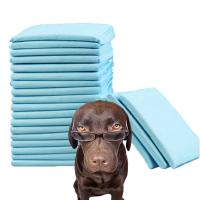 China 600X350 600X450 600X600 900X600 Leakproof Pet Training Pad with Sustainable Material for sale