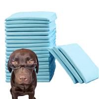 China CE ISO Certified Underpads The Ultimate Solution for Pet Hygiene and Cleanliness for sale