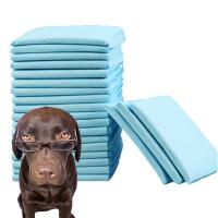 China Pet Cleaning High Absorbency Disposable Puppy Training Pee Pad with CE ISO Certificate for sale