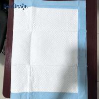 China OEM/ODM Custom Pet Pee Pads for Puppy Training 600X350mm 600X450mm 600X600mm 900X600mm for sale