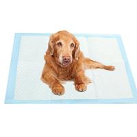 China Customized Label Puppy Training Pads with Breakable Design and Leak-proof Function for sale