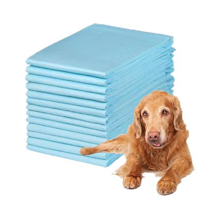 China 600X350 600X450 600X600 900X600 Urinal Pads for Puppy Dog Pee Training Free Sample for sale